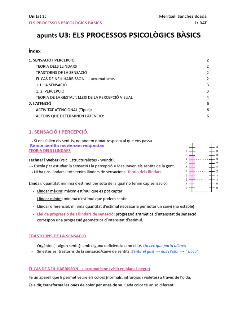 Apunts Examen U3 | PDF