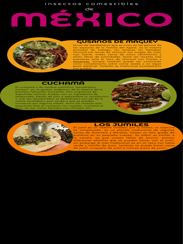 Infografía Lugares Increibles Que Conocer en Mexico Turismo Colorido | PDF