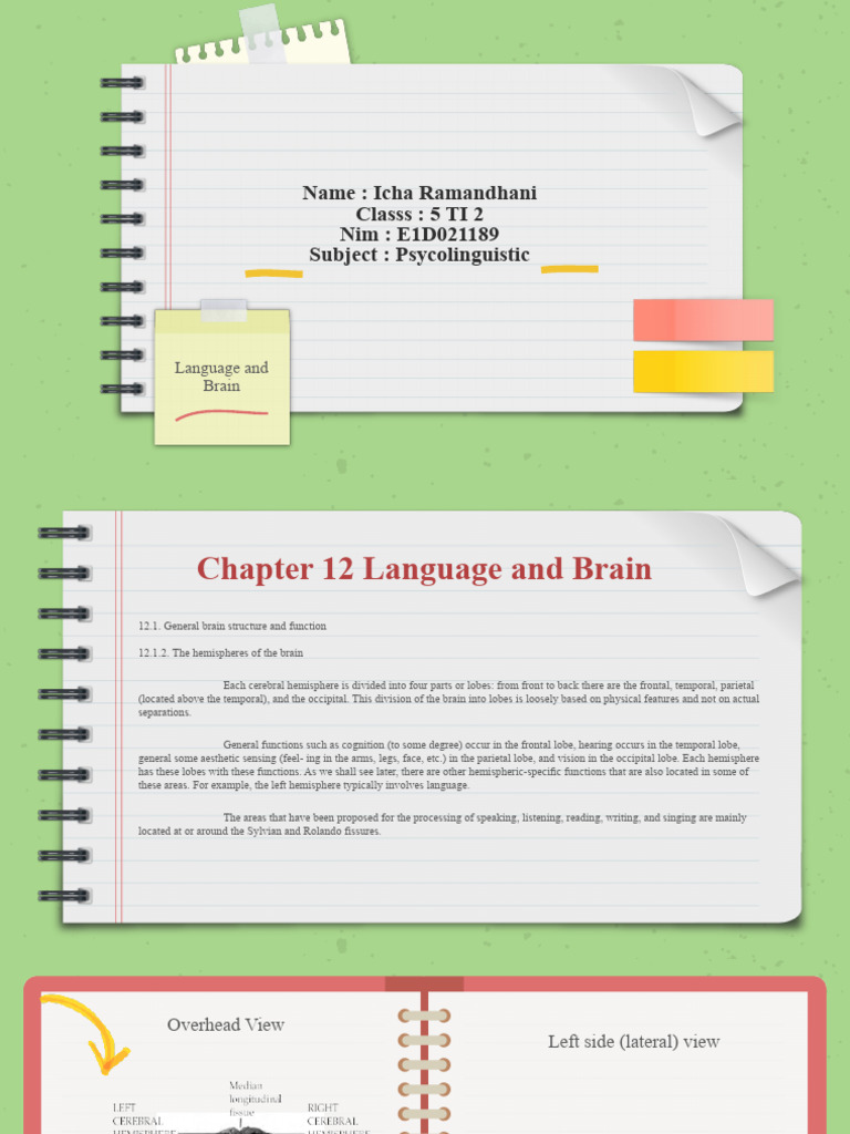 Language and The Brain | PDF | Aphasia | Lateralization Of Brain Function