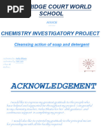 Toothpaste Ion Analysis Project | PDF | Ion | Salt (Chemistry)