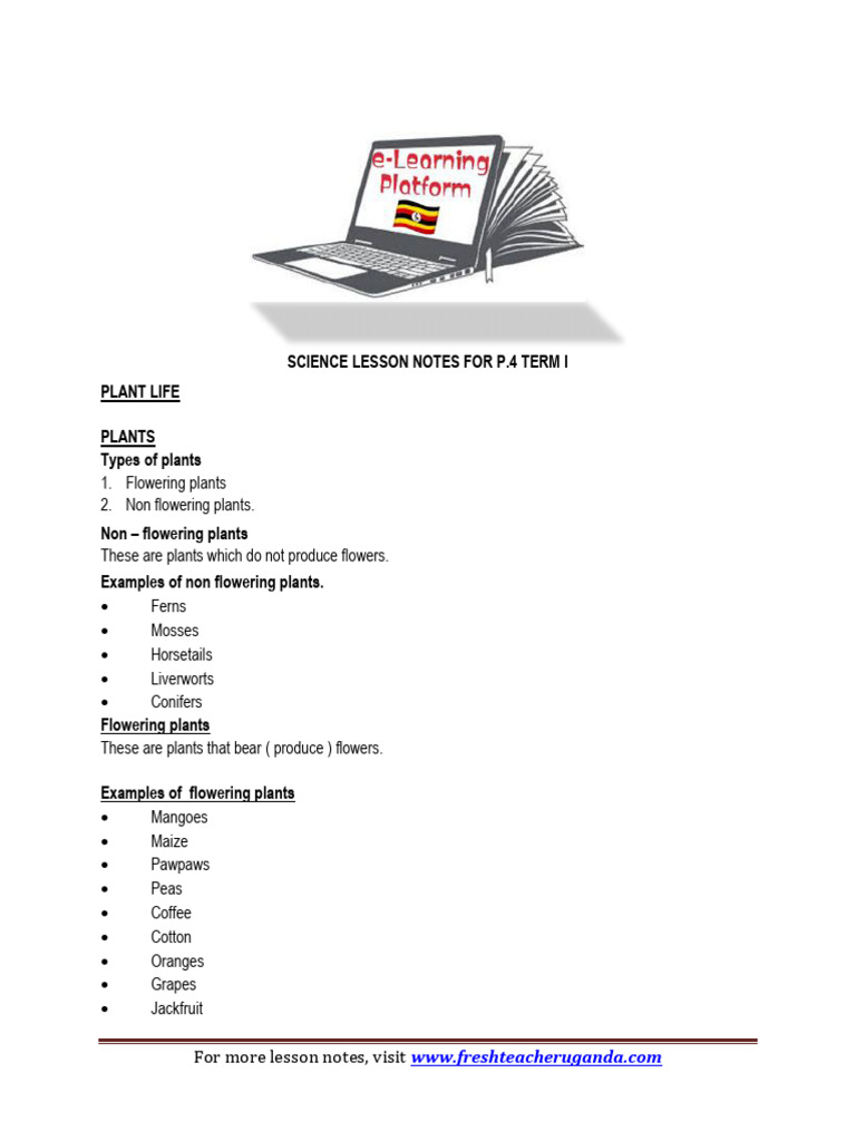 P4 Science Lesson Notes All Terms Pdf Leaf Seed 