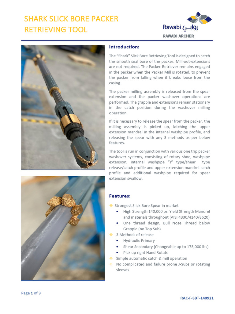 RAC Shark Type PRT | PDF | Manufactured Goods | Mechanical Engineering