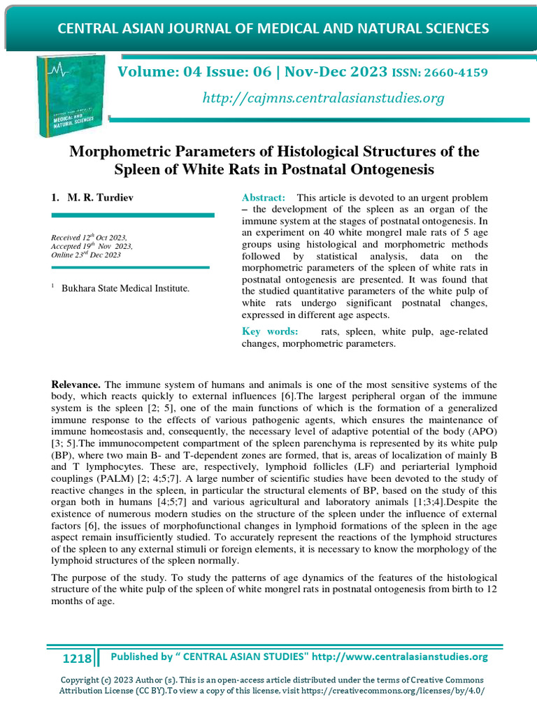 Morphometric Parameters of Histological Structures of The Spleen of ...