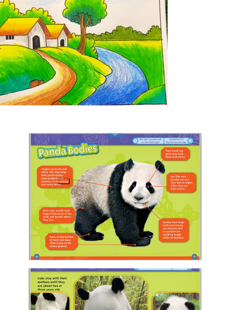 Panda Pdf