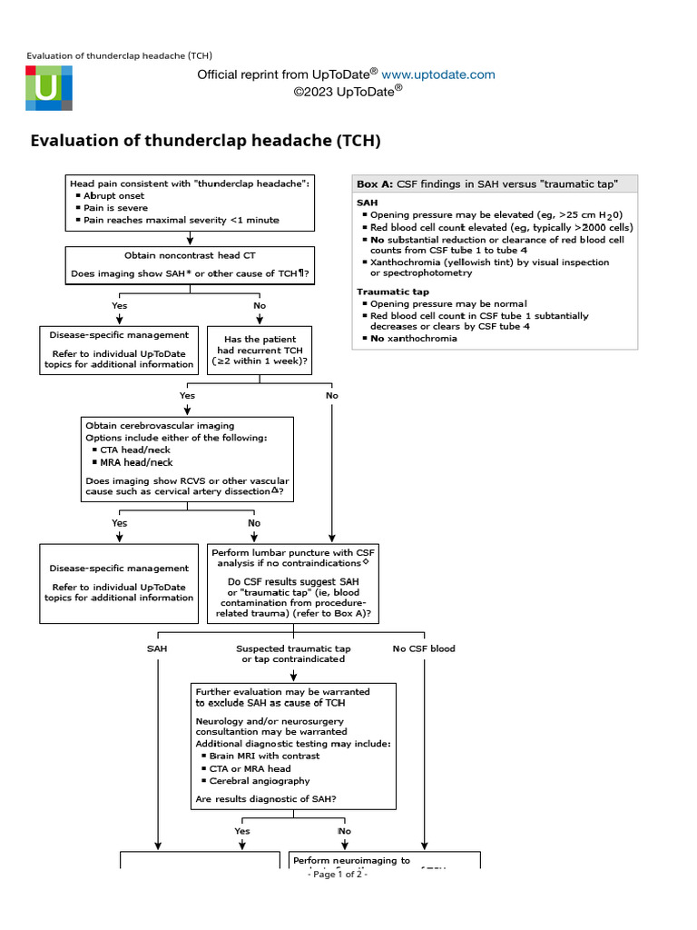 Evaluation of Thunderclap Headache (TCH) | PDF