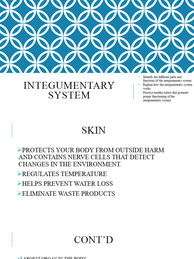 Understanding the Integumentary System | PDF | Home & Garden | Wellness
