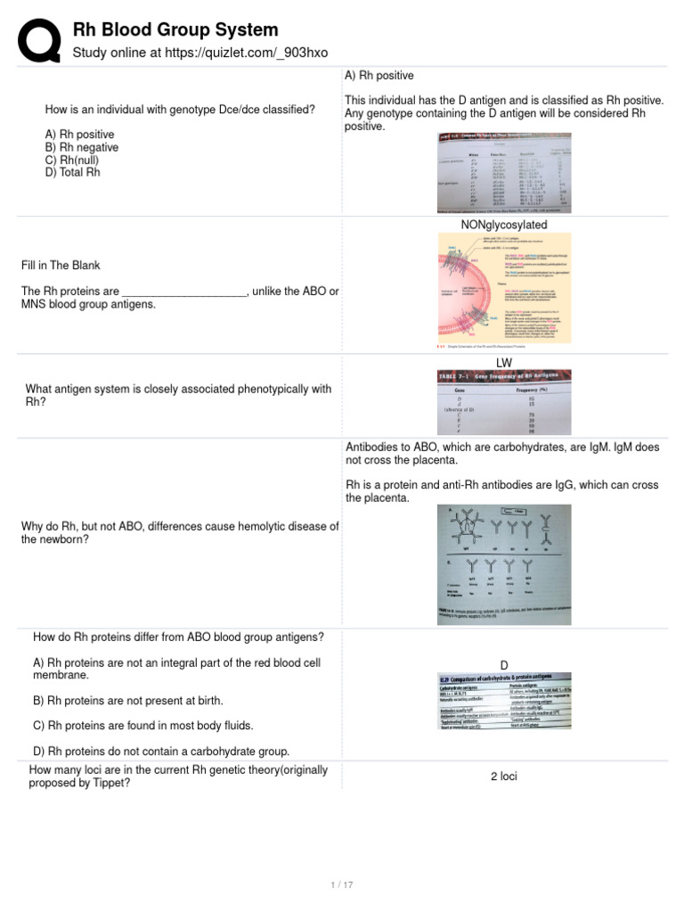 RH Blood Group System | PDF | Blood Type | Antibody