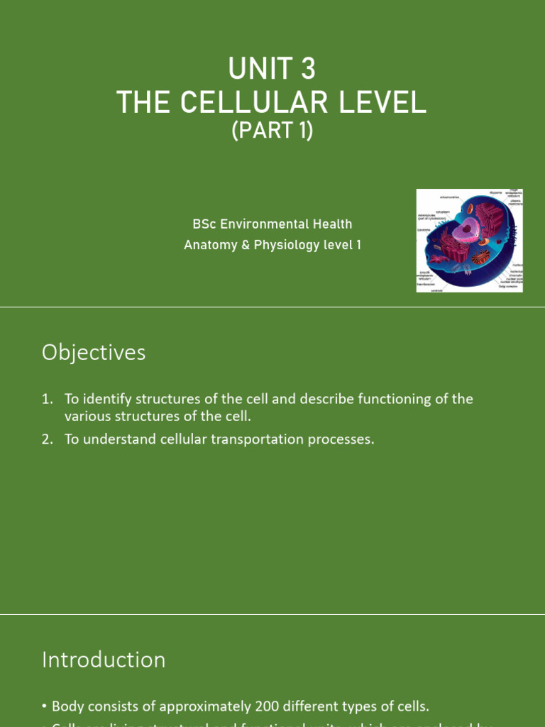 UNIT 3 Cellular Level (Part 1) 2024 | PDF | Cell Membrane | Cell (Biology)
