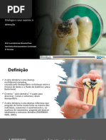 Tratamento Endodôntico - Biopulpectomia e Necropulpectomia. 13082024 ...