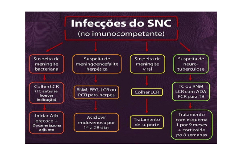 Meningite Ii Pdf