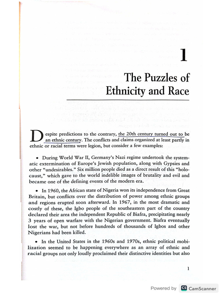 Ethnicity and Race | PDF