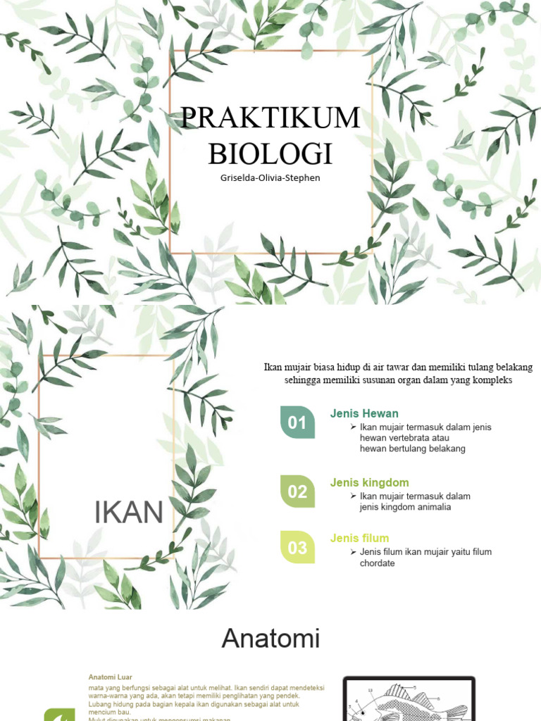 Prak Bio | PDF