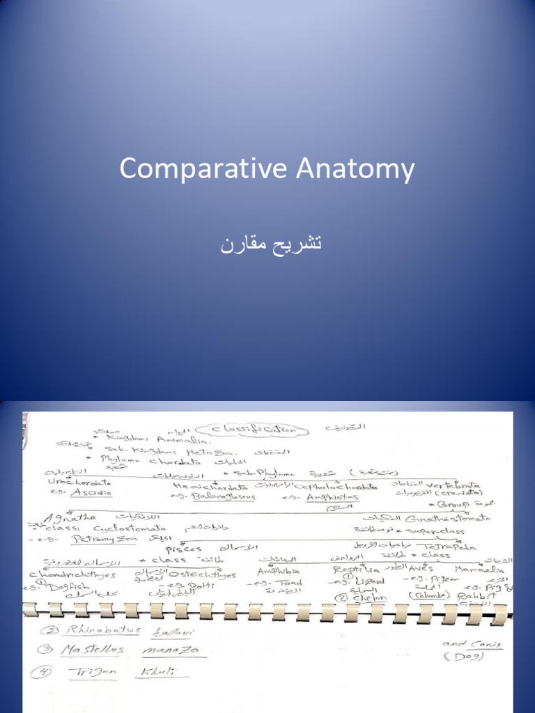 Comparative Anatomy | PDF