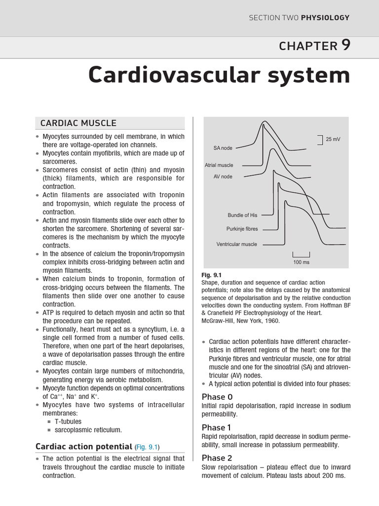 Cardio Physio | PDF | Diastole | Heart Valve