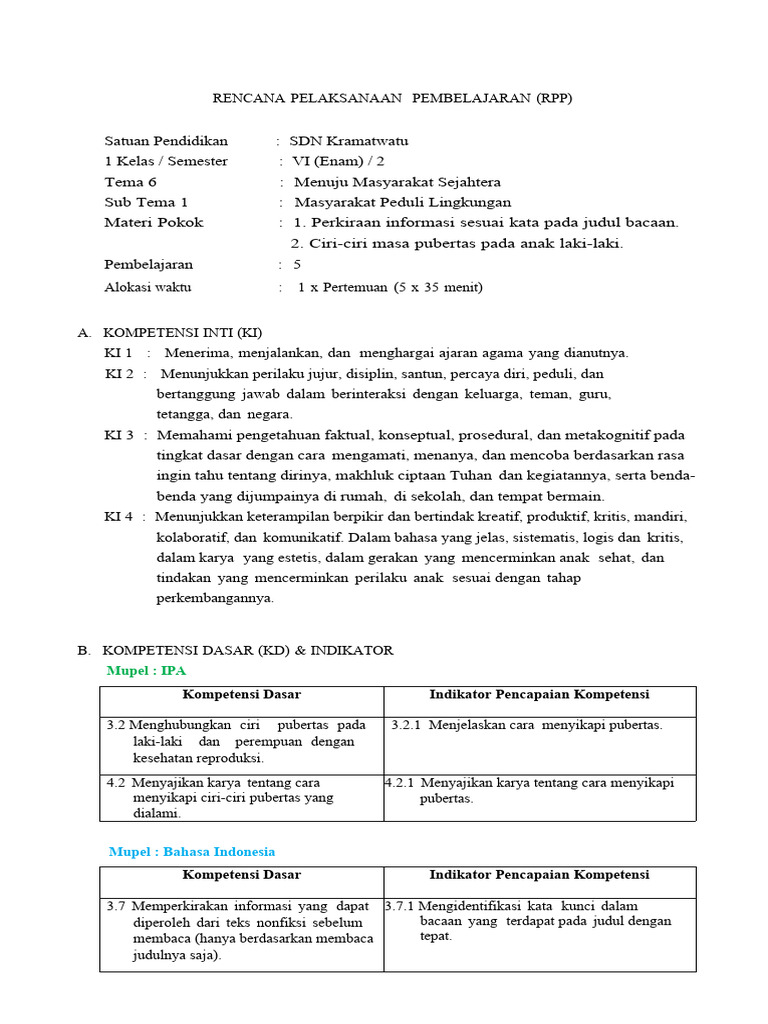 Pembelajaran Pubertas dan Literasi | PDF | Karier & Perkembangan | Kesehatan Holistik