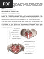 11 - Região Poplítea | PDF | Joelho | Anatomia humana