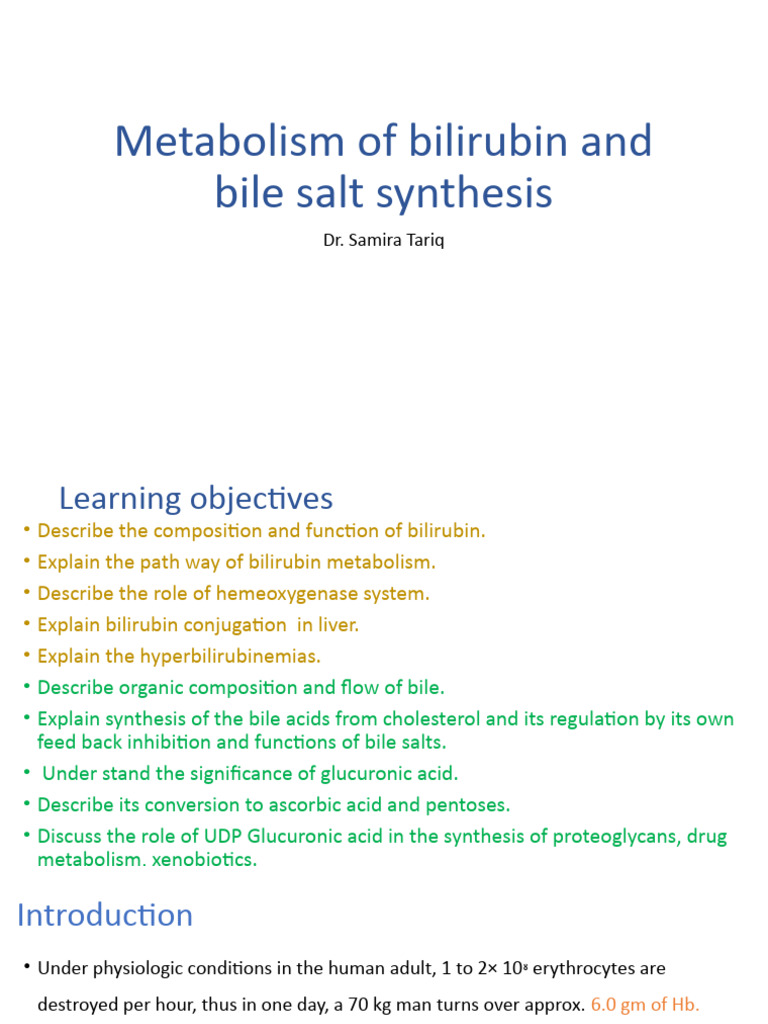 Metabolism of Bilirubin and Bile Salt Synthesis | PDF | Clinical ...