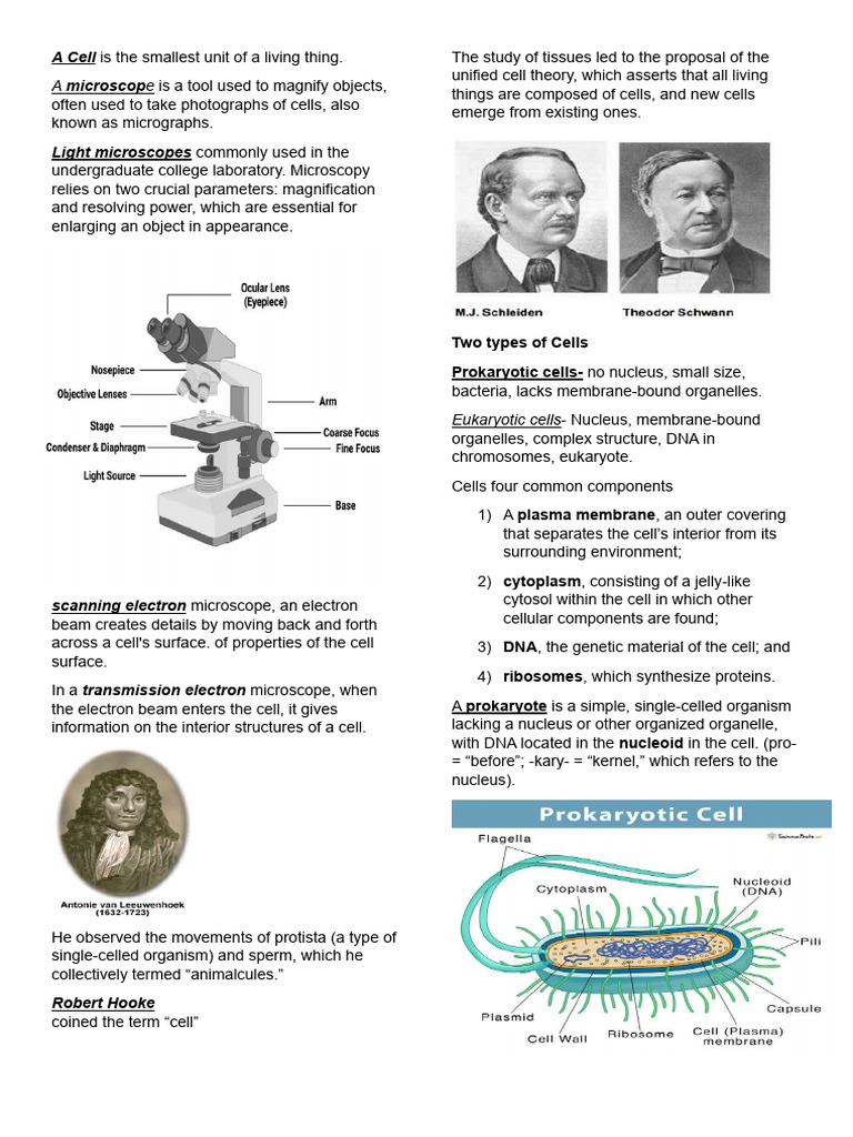 A Cell Is The Smallest Unit of A Living Thing | PDF | Cell Membrane ...