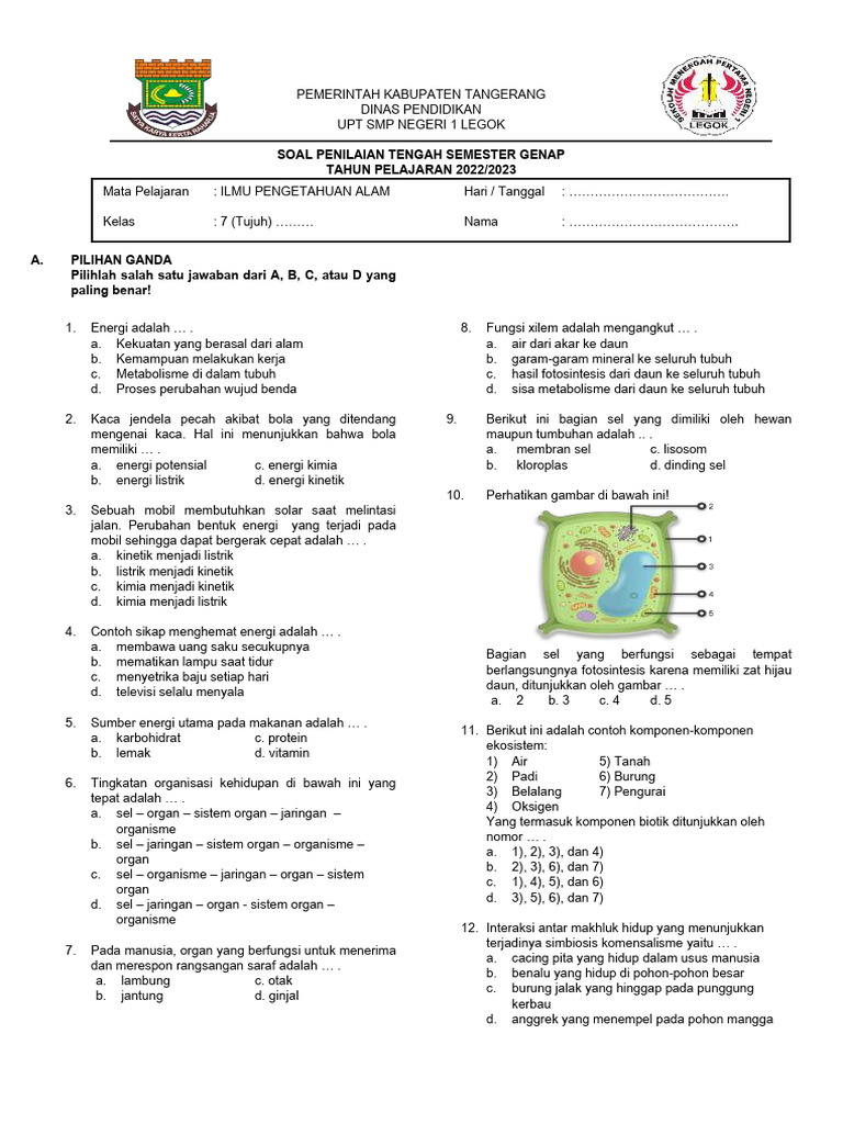 SOAL PTS Genap KELAS 7 | PDF
