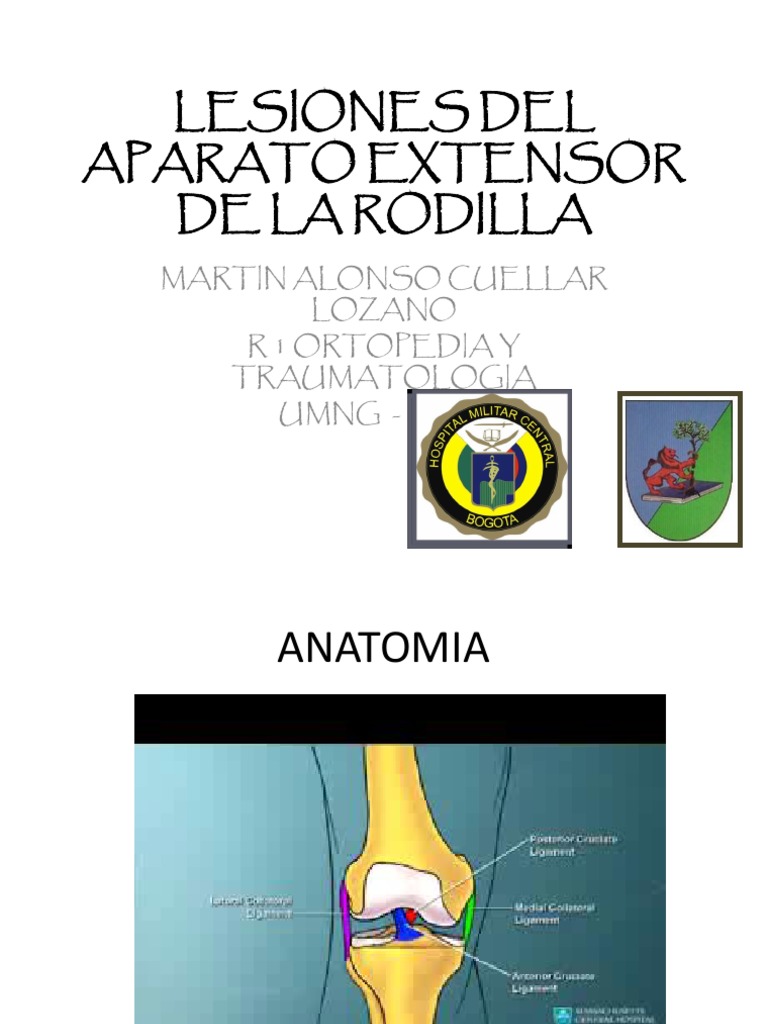Lesiones Aparato Extensor Rodilla | PDF | Rodilla | Medicina CLINICA