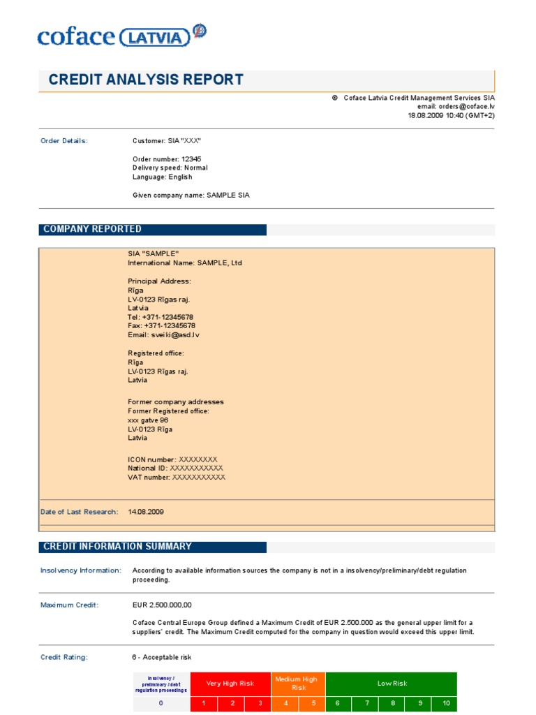 Credit Analysis Report | PDF | Credit (Finance) | Revenue