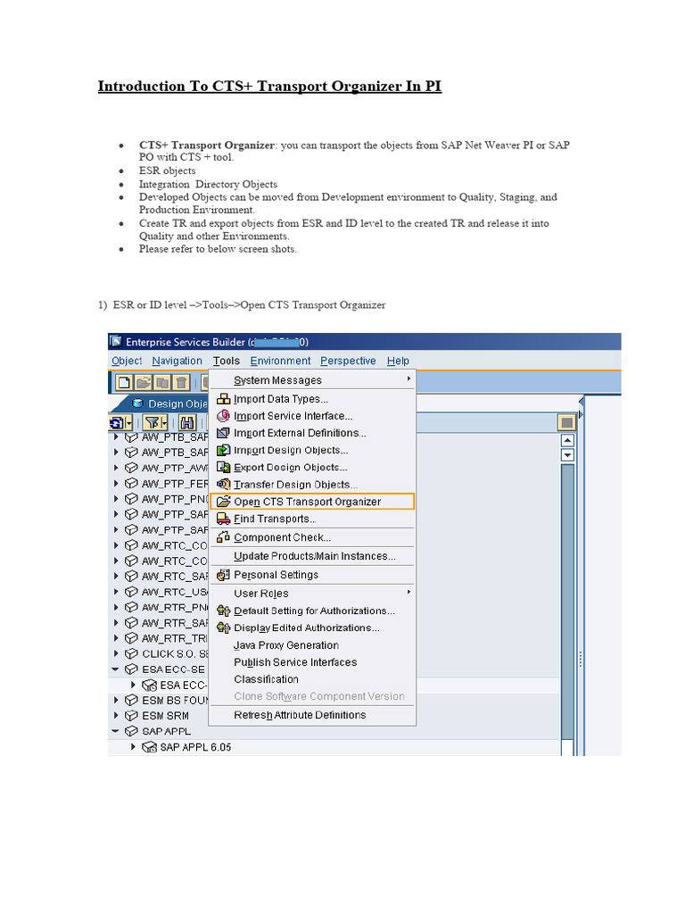 CTS+ Transport Organizer in SAP PI | PDF | Computers