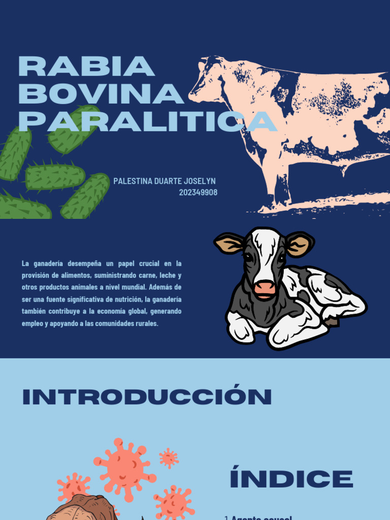 La Rabia Bovina | PDF | Rabia | Virus