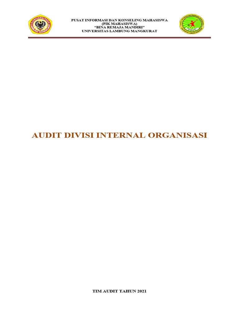 Audit Divisi Internal Organisasi | PDF