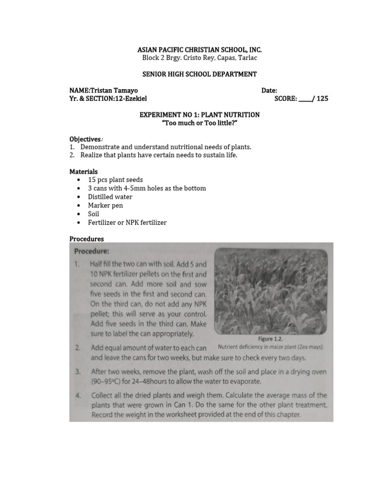 Experiment No 1 PLANT NUTRITION | PDF | Plants | Seed