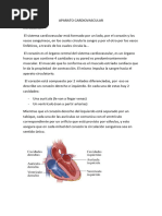 Endobase y Exobase | PDF | Cráneo | Cabeza y cuello humanos