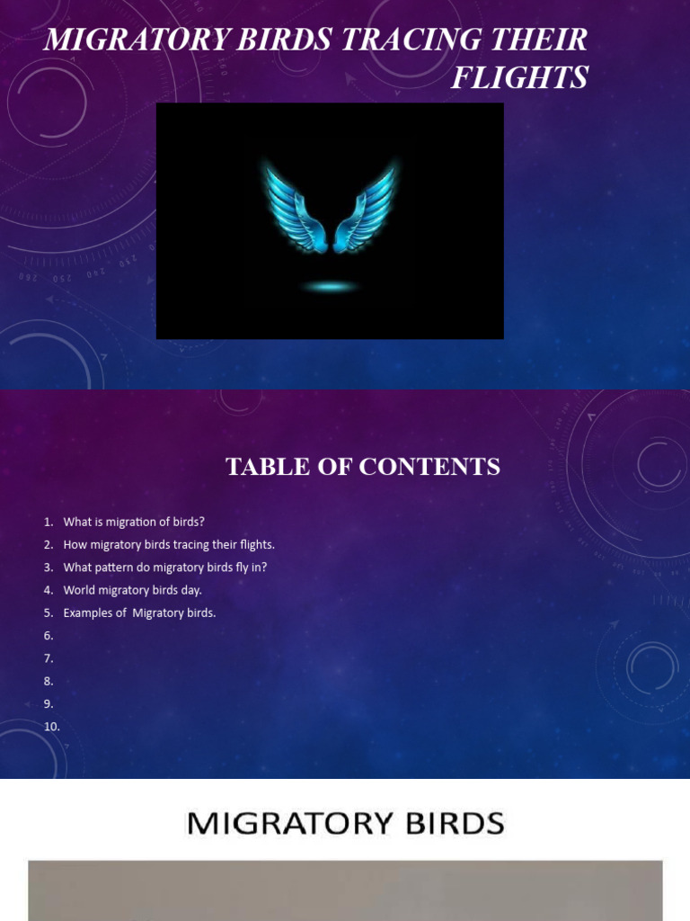 Migratory Birds Tracing Their Flights | PDF