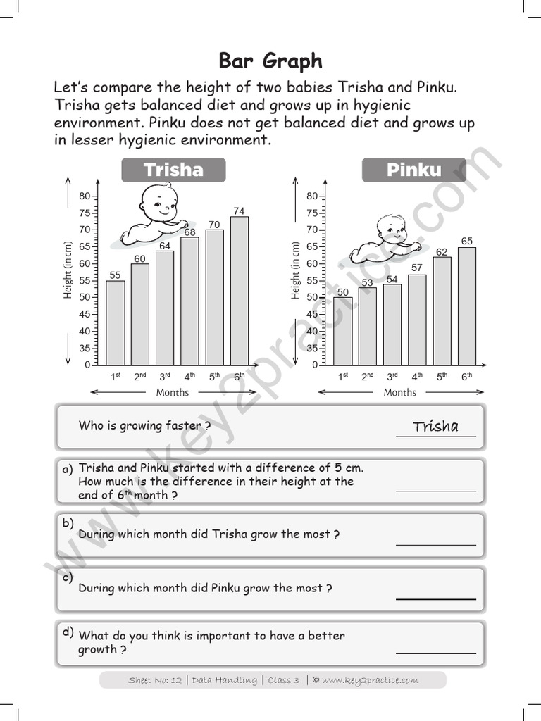12 Data-Handling | PDF