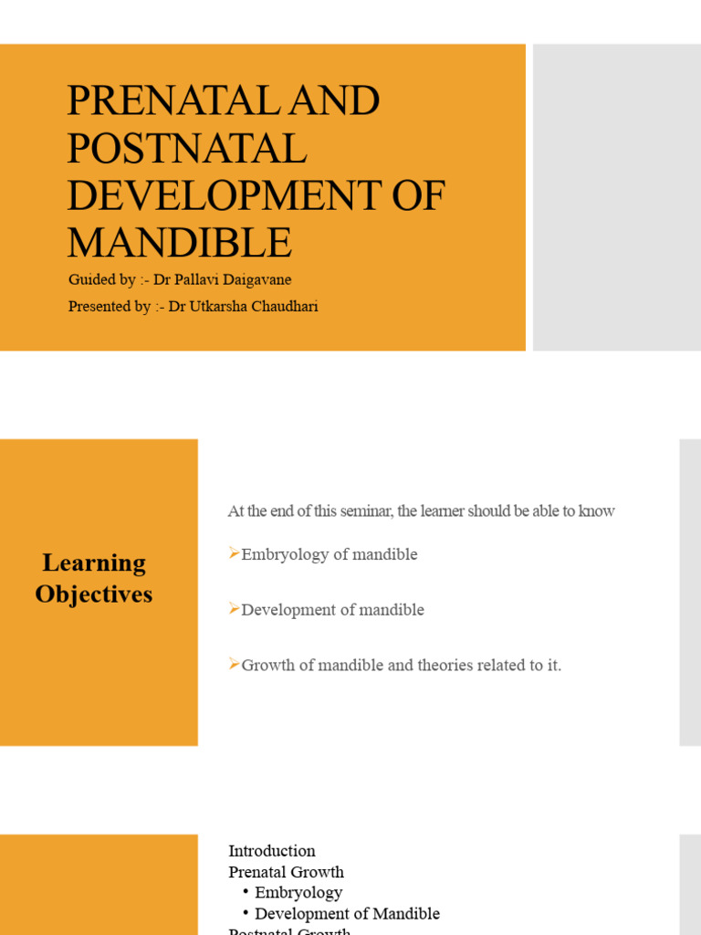 Prenatal and Postnatal Development of Mandible | PDF | Musculoskeletal ...