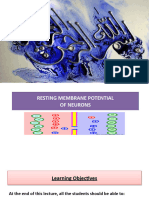 Metaneuron Manual | PDF | Inhibitory Postsynaptic Potential | Membrane ...