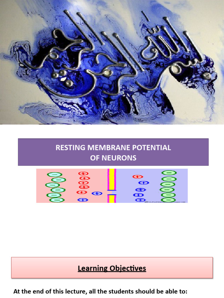 Resting Membrane Potential | PDF | Membrane Potential | Membrane Biology