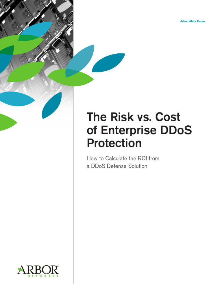 Whitepaper Risk Vs Cost Enterprise DDOS Protection | PDF | Computers
