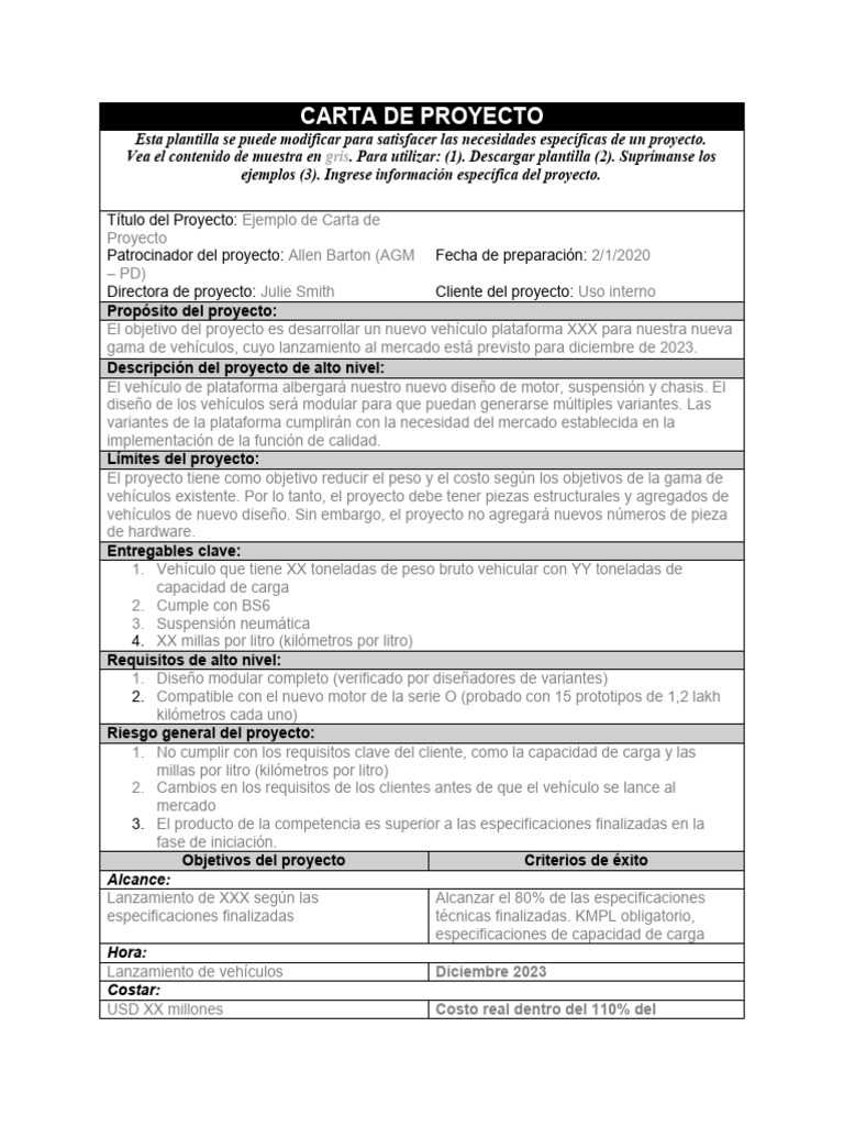 Carta de Proyecto | PDF | Presupuesto | Diseño