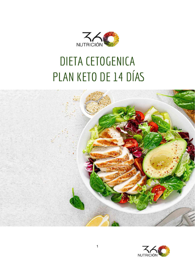 Plan Keto Gratis: 14 Días de Recetas | PDF | Hamburguesas | Queso