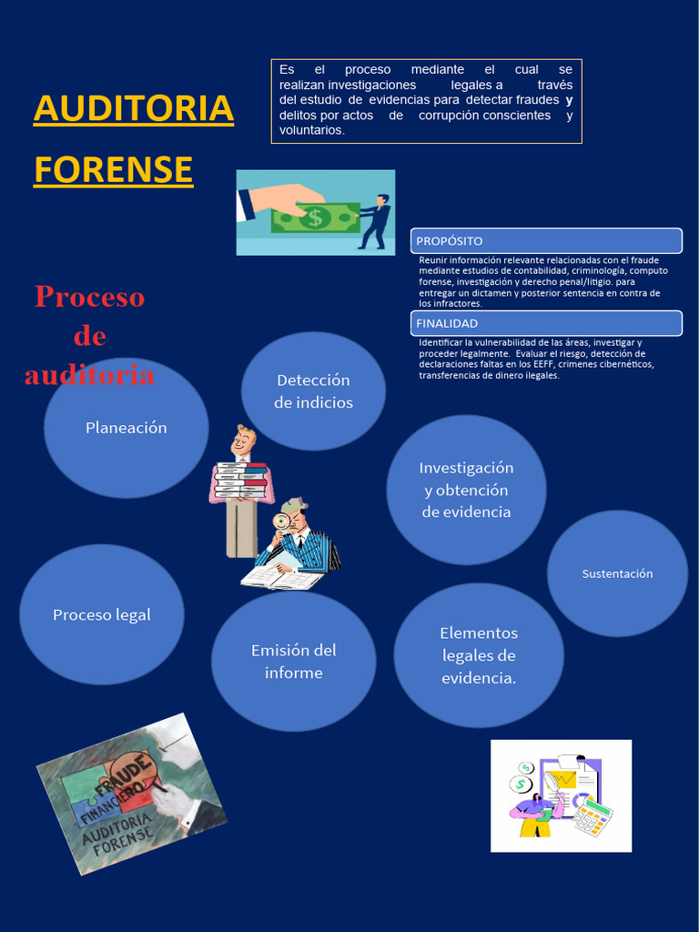 Auditoria Forense | PDF