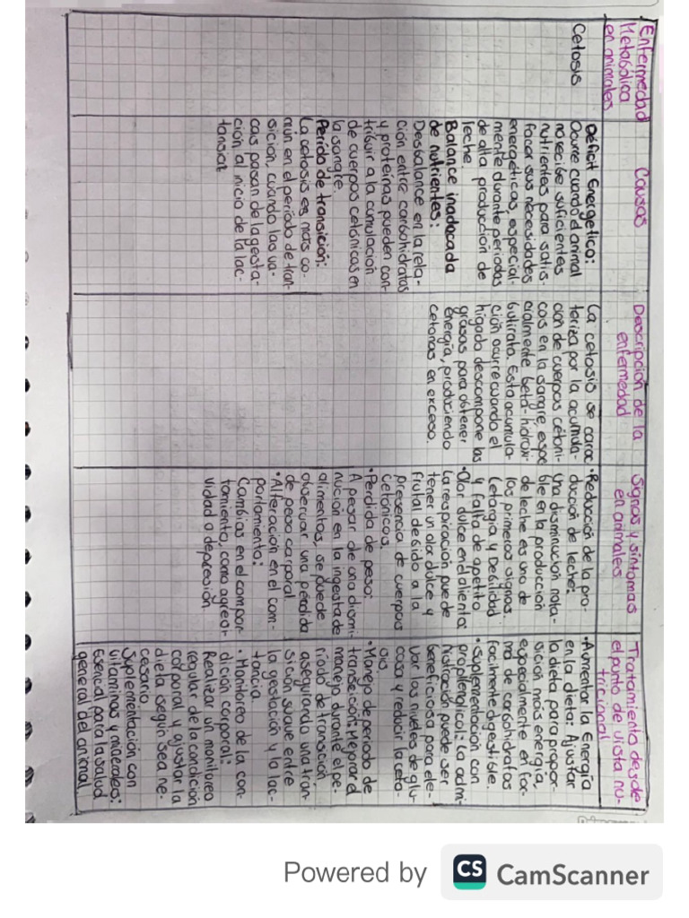 Foro Nutricion Animal Kevin Jara | PDF