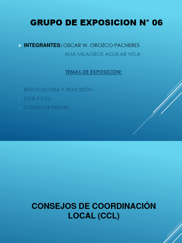 Funciones y Estructura del CCL en Perú | PDF | Gobierno local | Alcalde