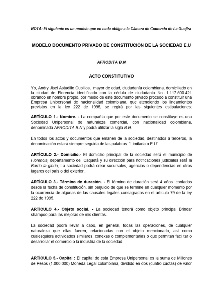 constitucion-EU 1101 | PDF | Sociedad de responsabilidad limitada ...
