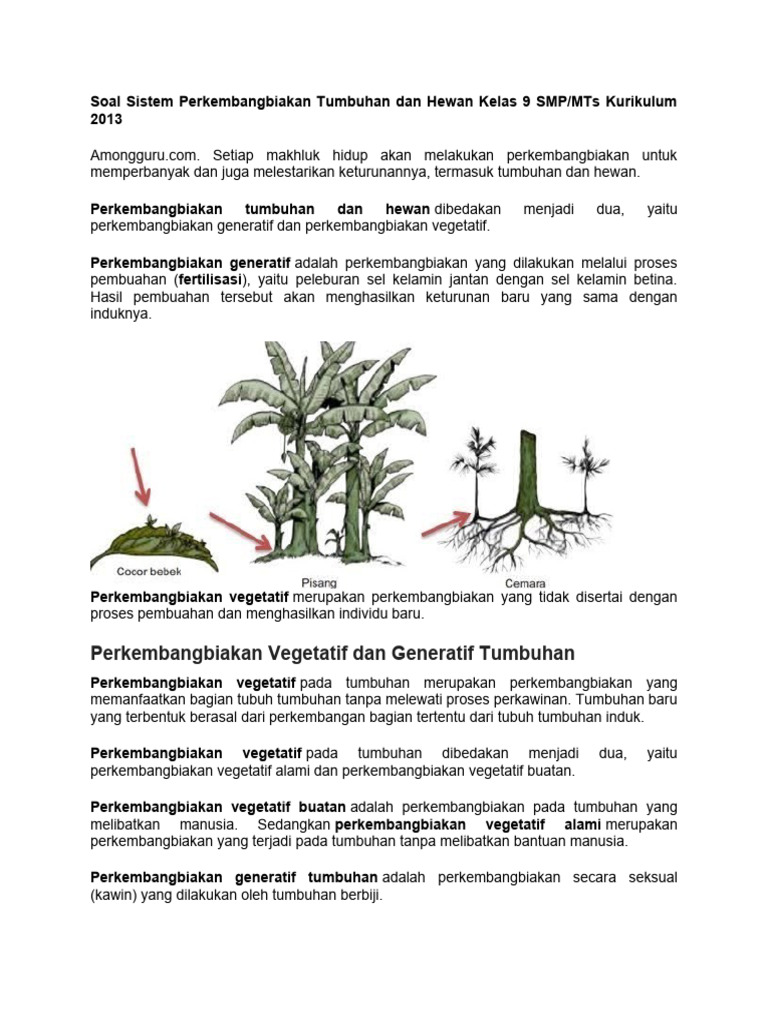 Soal Sistem Perkembangbiakan Tumbuhan Dan Hewan Kelas 9 SMP | PDF | Griya & Taman | Kesehatan ...