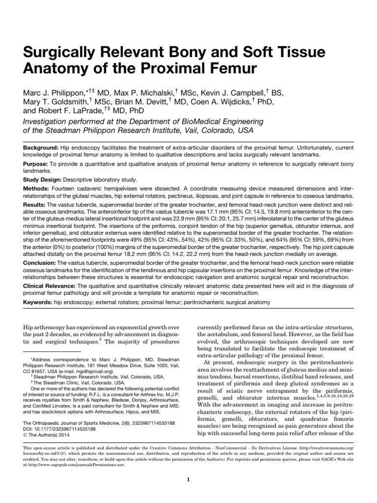 Surgically Relevant Bony and Soft Tissue Anatomy of The Proximal Femur ...