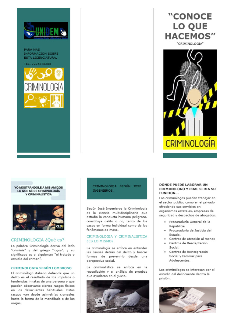 Triptico | PDF | Criminología | Mala conducta