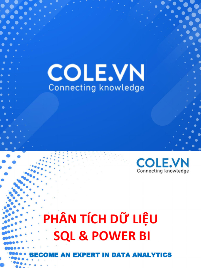 Pbi Course Lesson 2 Pdf