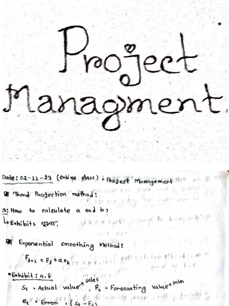 Project Management | PDF