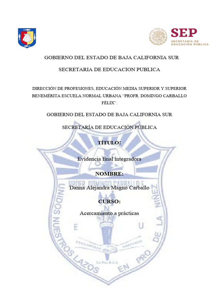 Evidencia Final Integradora | PDF | Aprendizaje | Internet
