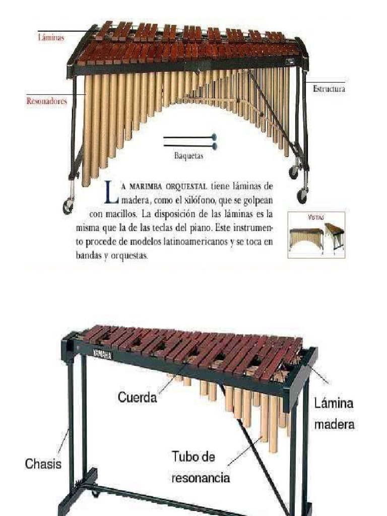 Marimba y Sus Partes 4 | PDF