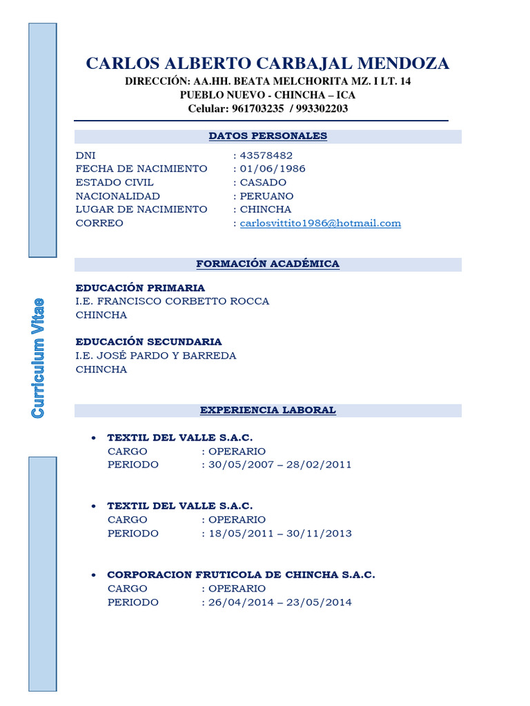 CV Carlos Alberto Carbajal Mendoza 2024 | PDF | América del Sur